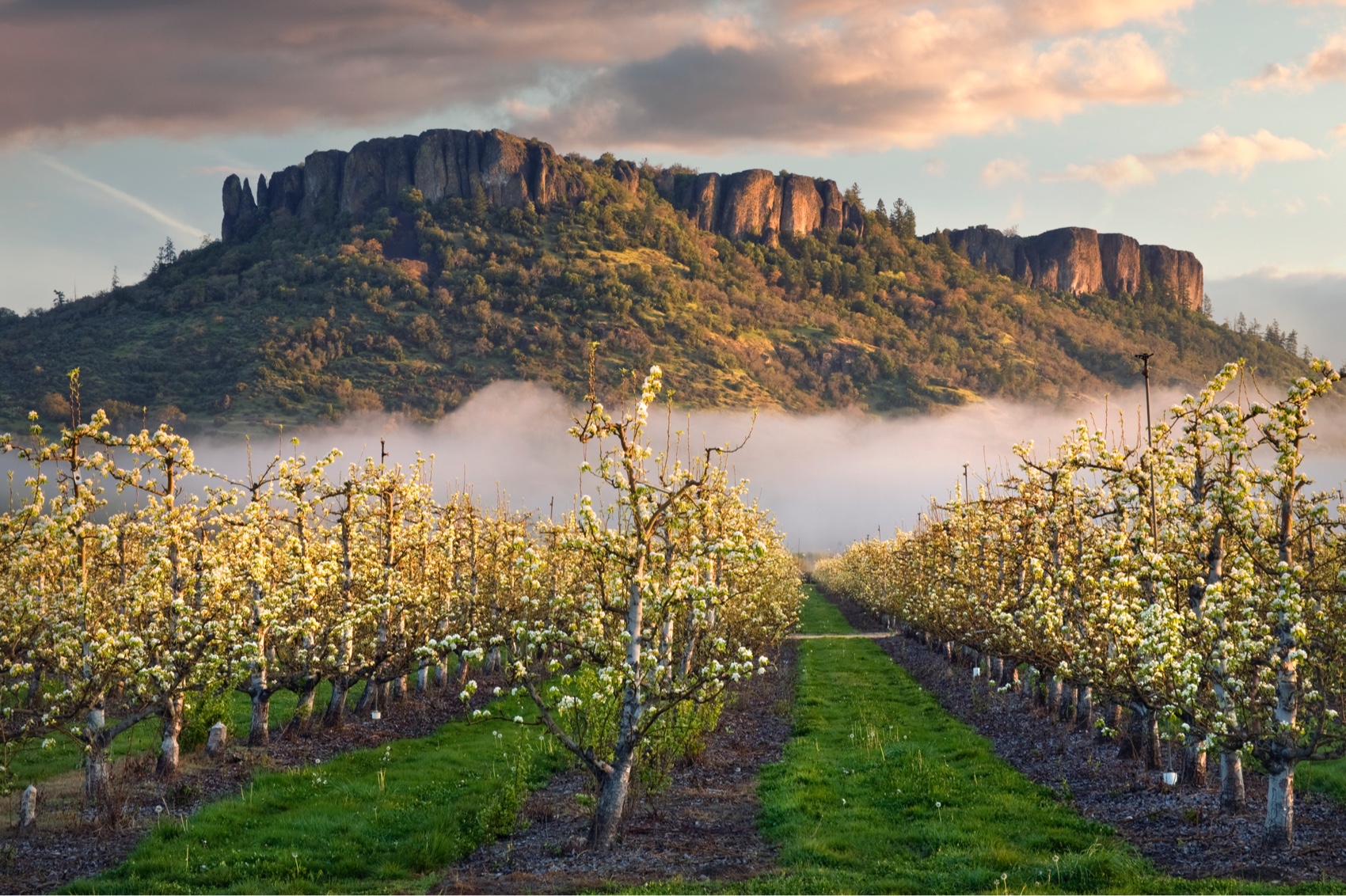 Custom Home Plans - Central Point, OR - Design Residential